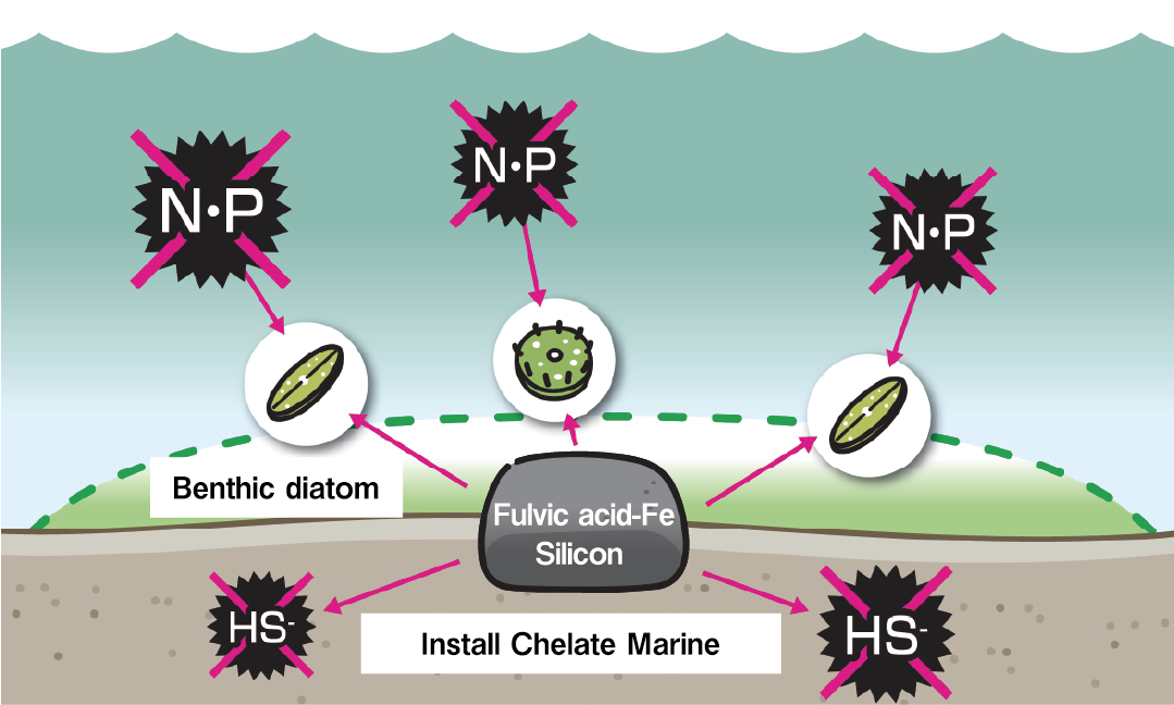 Chelate Marine | Hinomaru Sangyo Co.,Ltd. | Hiroshima,Japan